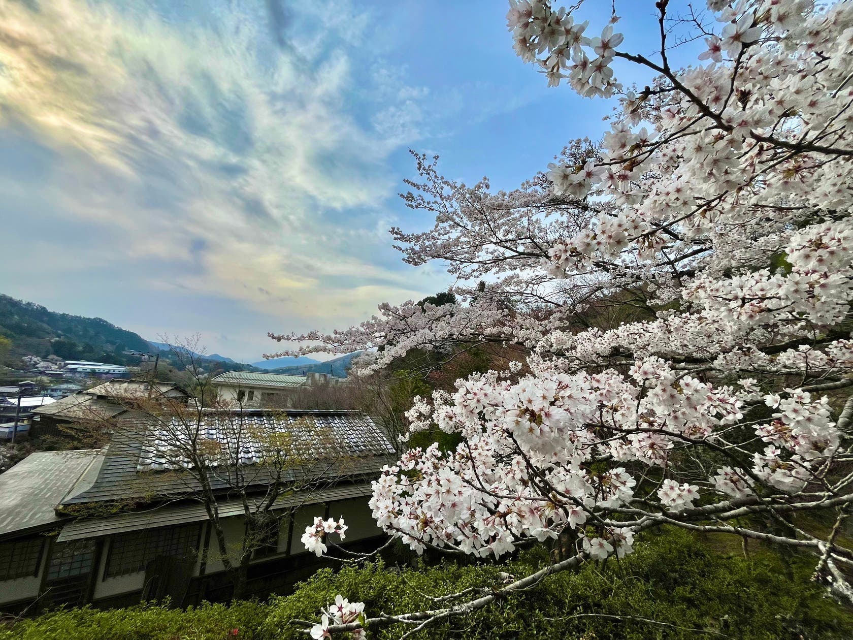 800坪の日本庭園と数寄屋造の茶室に遊ぶの写真15