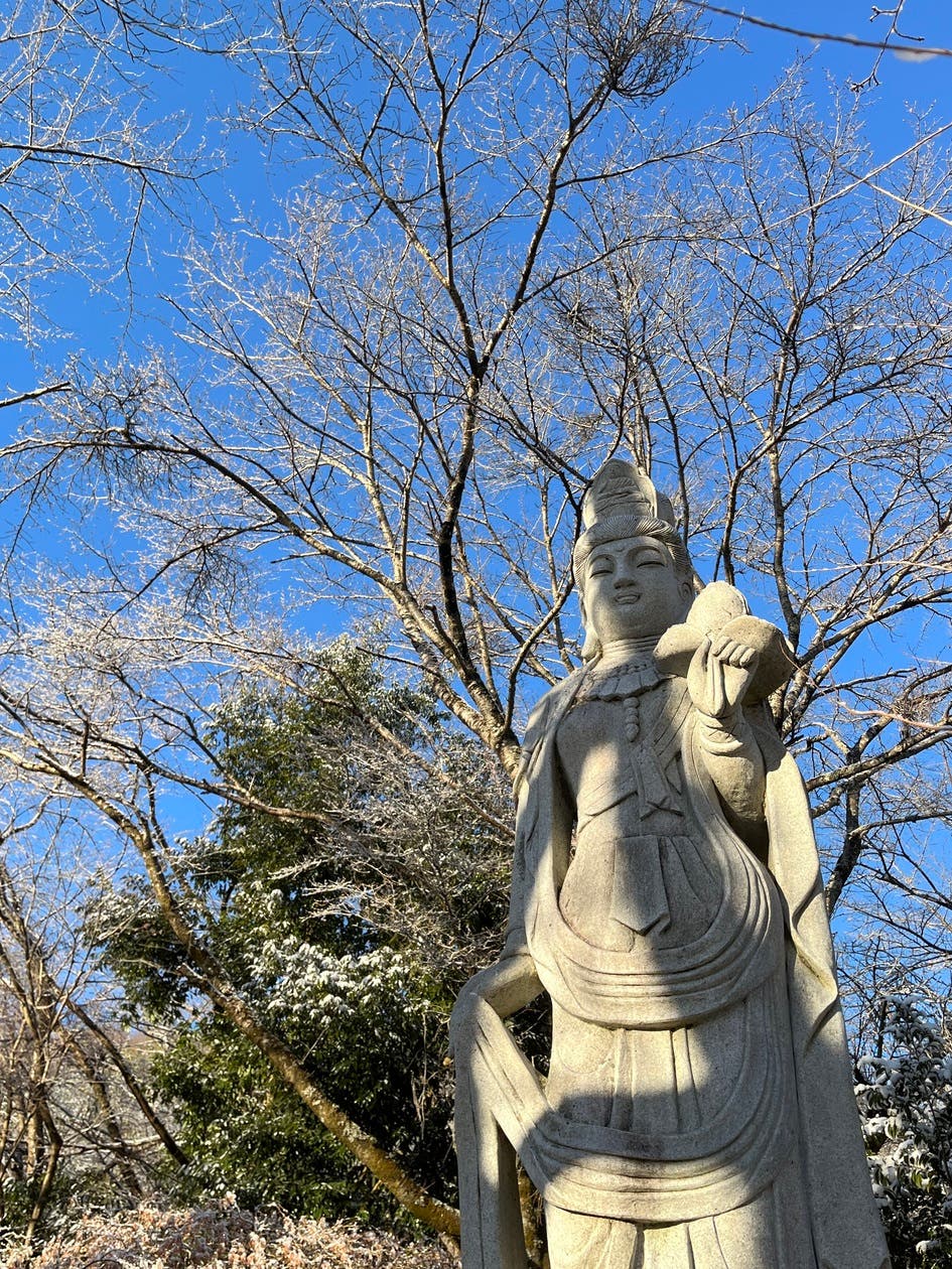 800坪の日本庭園と数寄屋造の茶室に遊ぶの写真20