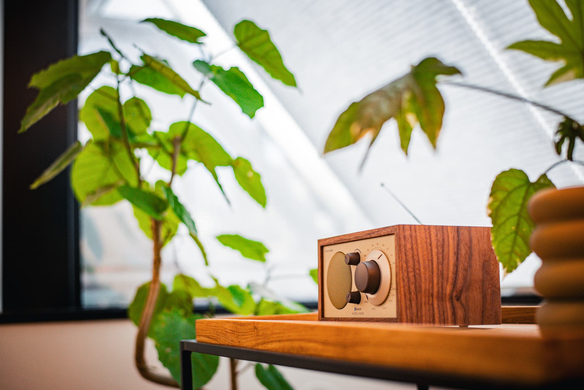 整体・勉強会・施術研修など|1日貸し可|完全個室|最大7人収容の写真2