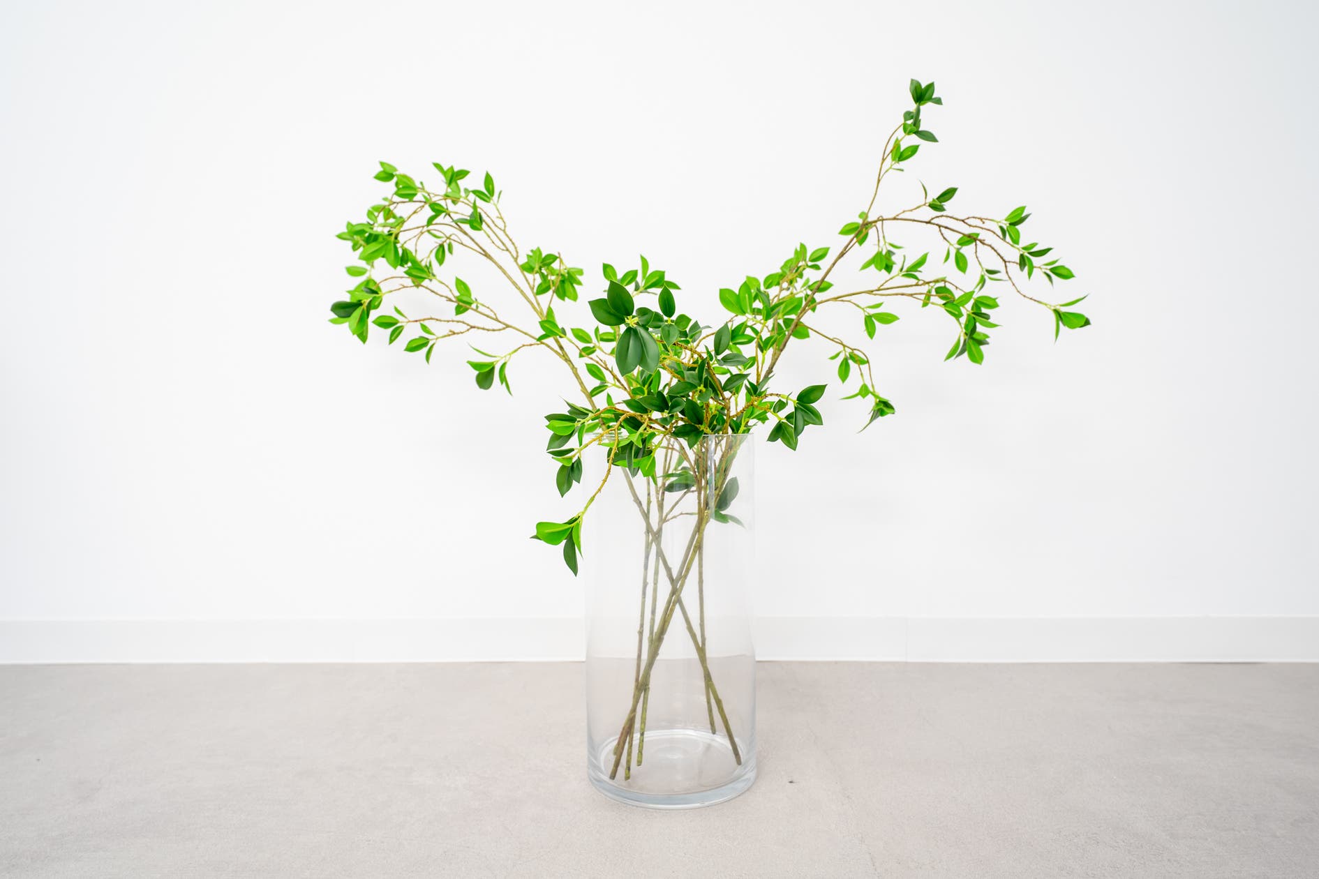 【リピート割10%】飯田橋駅徒歩3分/自然光/おしゃれなモダン家具/駐車場有/撮影スタジオの写真16