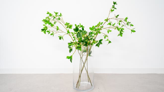 【リピート割10%】飯田橋駅徒歩3分/自然光/おしゃれなモダン家具/駐車場有/撮影スタジオの写真16