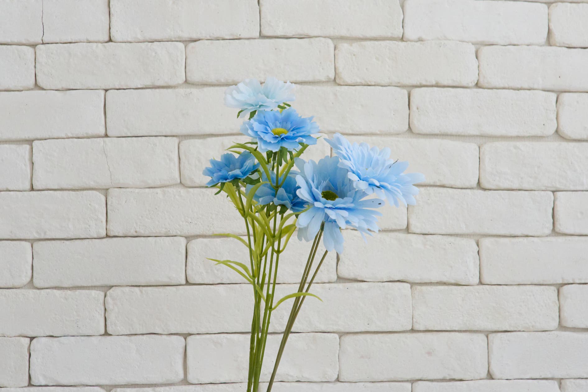 ✨特別割引✨白ホリ｜シンプル背景6種｜機材無料｜自然光｜24h｜広々90㎡｜銀座･日本橋エリア5駅徒歩圏｜業務用エアコン完備の写真8