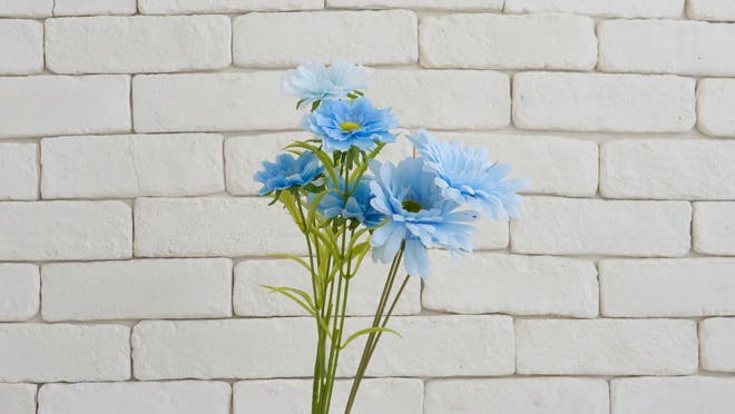 ✨特別割引✨白ホリ|シンプル背景6種|機材無料|自然光|24h|広々90㎡|銀座・日本橋エリア5駅徒歩圏|業務用エアコン完備の写真8