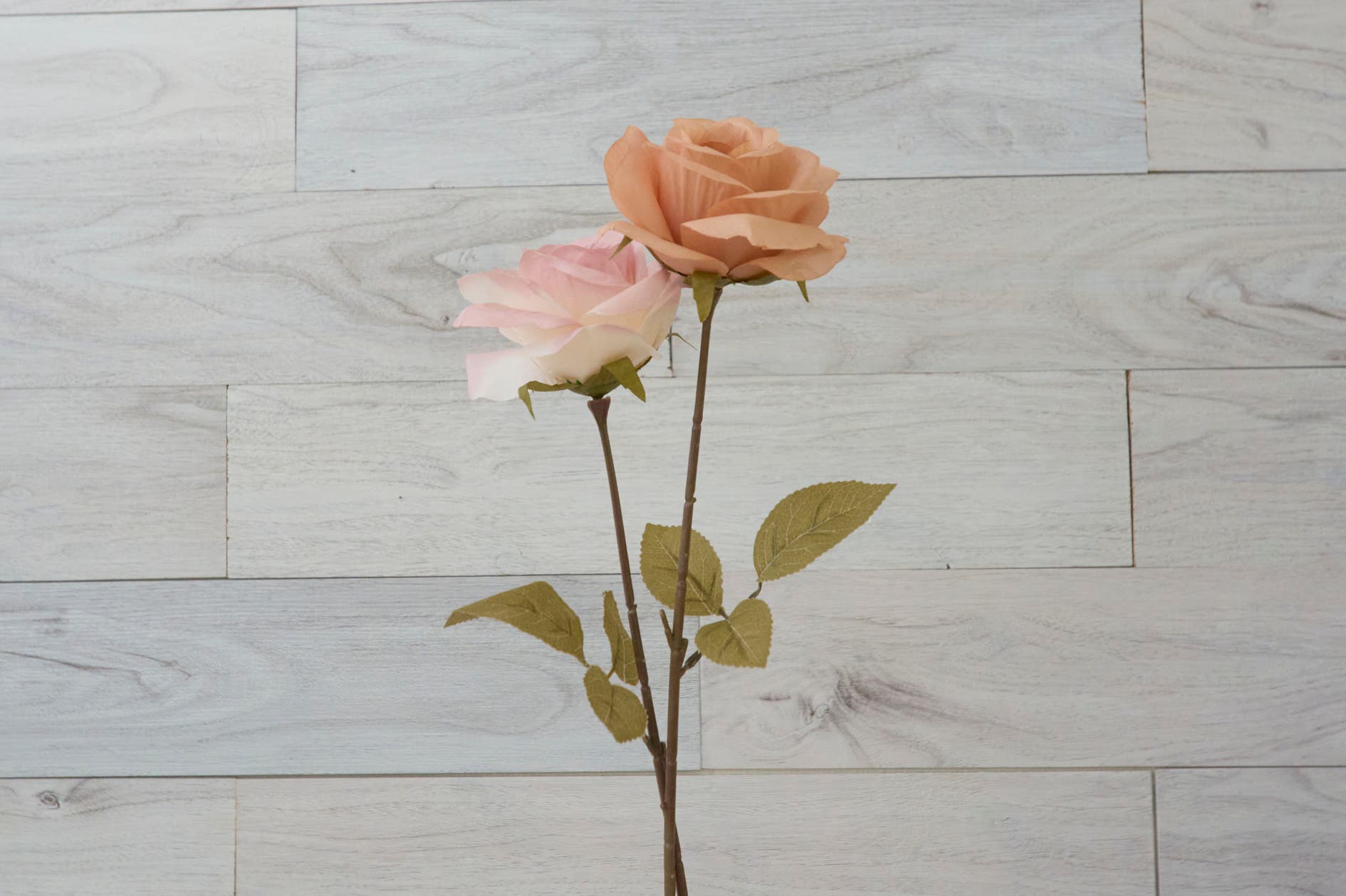 ✨特別割引✨白ホリ｜シンプル背景6種｜機材無料｜自然光｜24h｜広々90㎡｜銀座･日本橋エリア5駅徒歩圏｜業務用エアコン完備の写真10