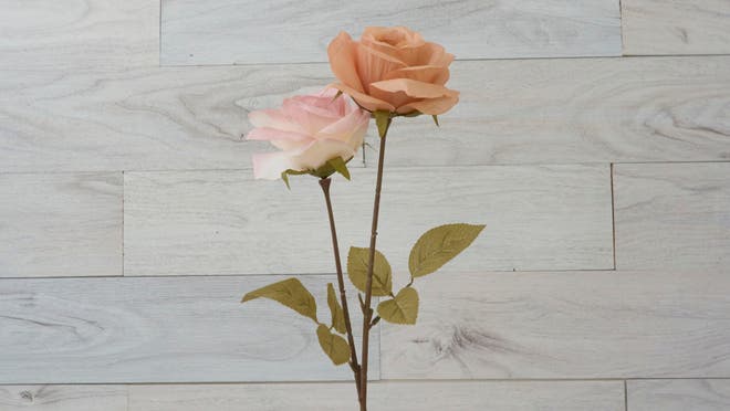 ✨特別割引✨白ホリ|シンプル背景6種|機材無料|自然光|24h|広々90㎡|銀座・日本橋エリア5駅徒歩圏|業務用エアコン完備の写真10