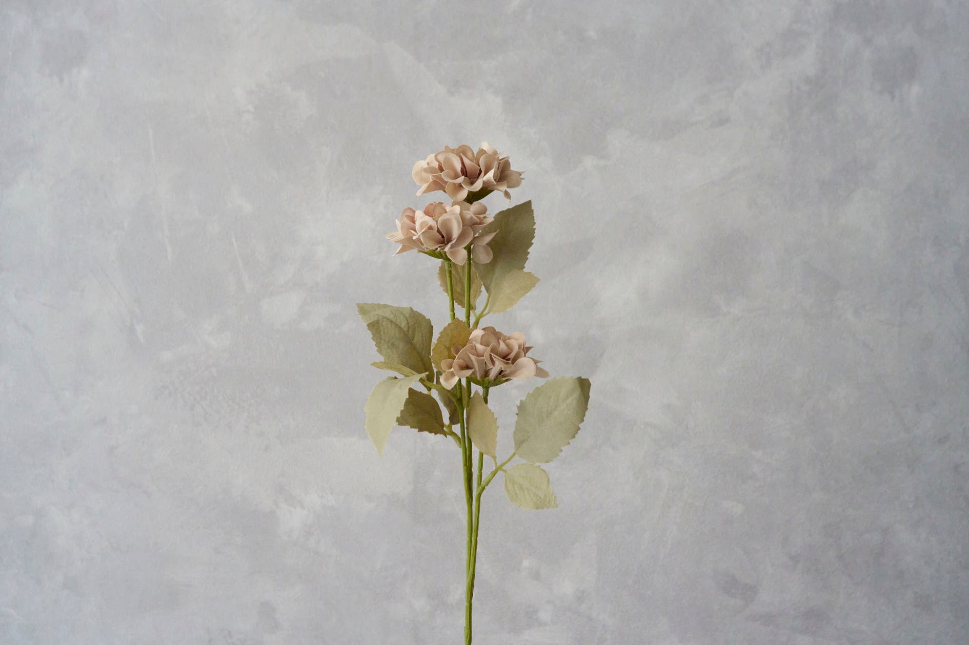 ✨特別割引✨白ホリ｜シンプル背景6種｜機材無料｜自然光｜24h｜広々90㎡｜銀座･日本橋エリア5駅徒歩圏｜業務用エアコン完備の写真6