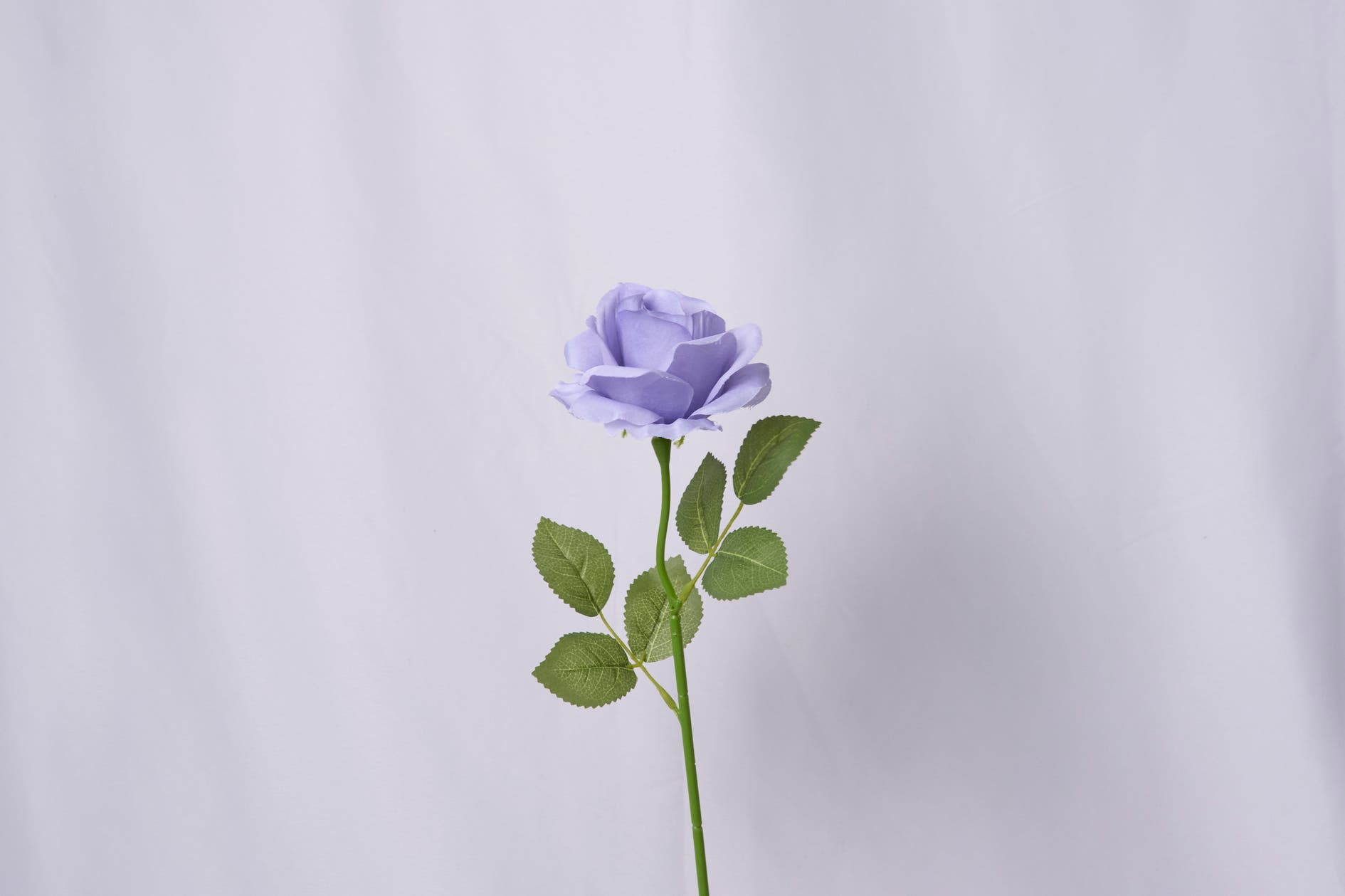 ✨特別割引✨白ホリ｜シンプル背景6種｜機材無料｜自然光｜24h｜広々90㎡｜銀座･日本橋エリア5駅徒歩圏｜業務用エアコン完備の写真11