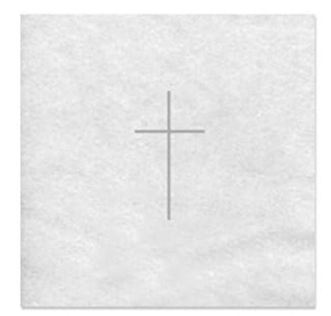 ピローシート（オープン記念で無料レンタル）の画像1