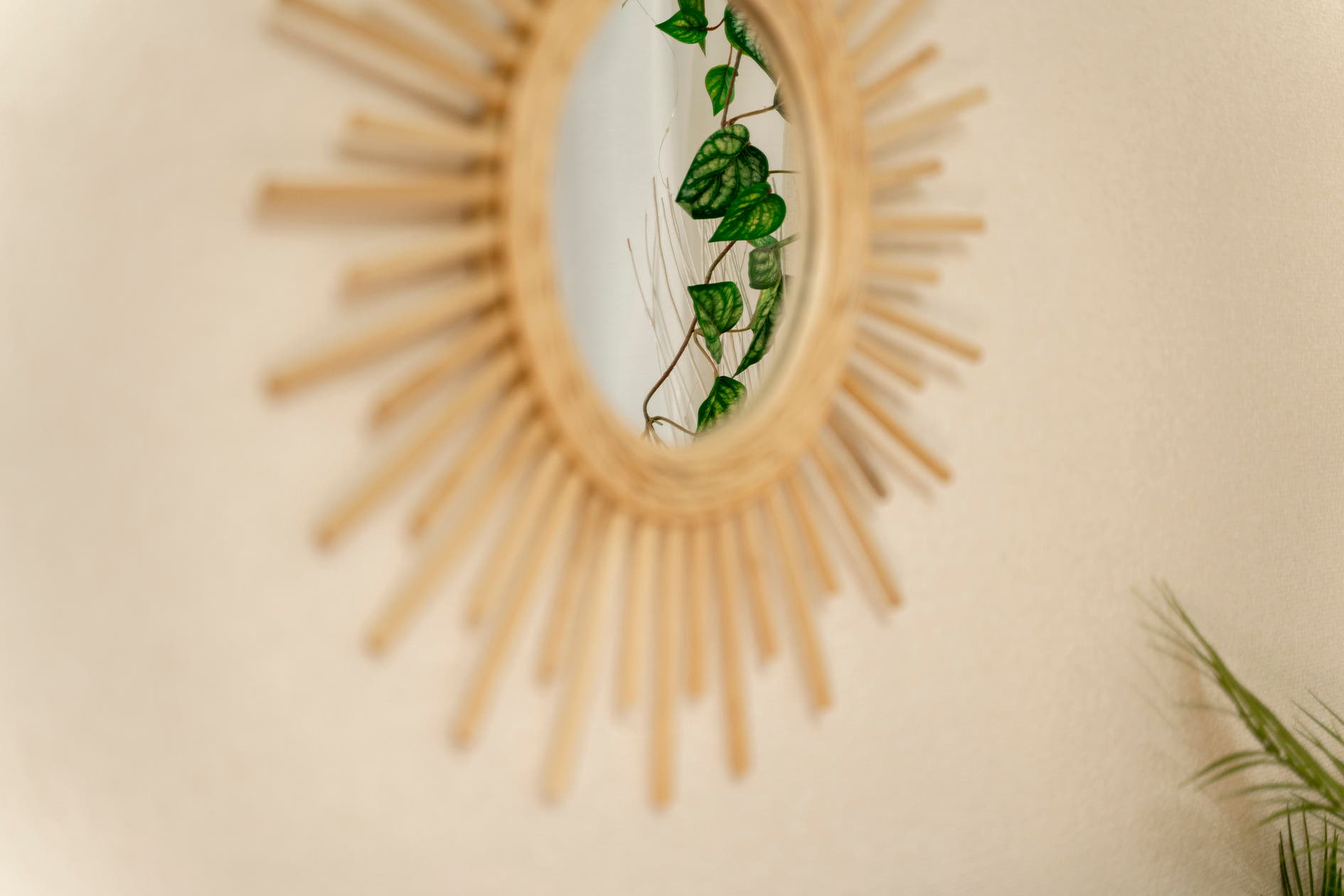 【要町4分/池袋9分】花壁×白基調×自然光🌸女子会・推し活に最適🎀デート・誕生日会・撮影OK✨映画鑑賞🎥クリスマス🎄の写真21