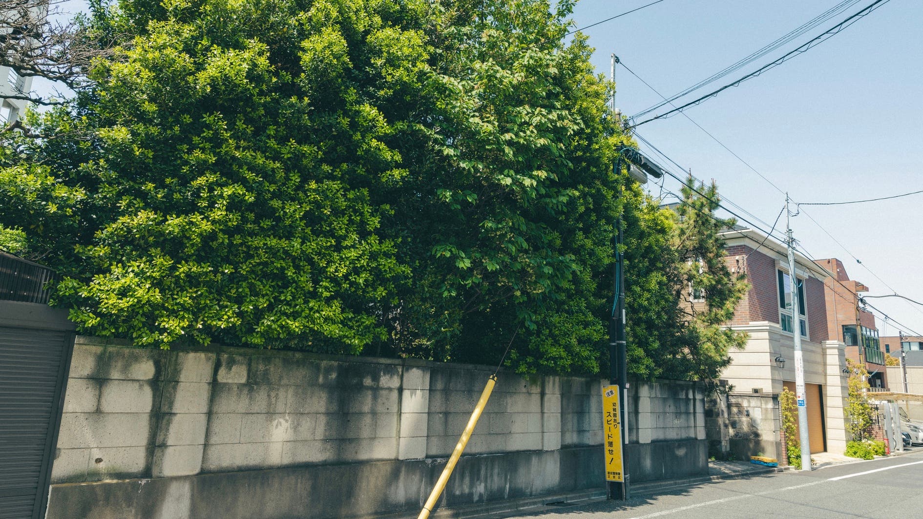 【古民家】巣鴨/千石駅から徒歩5分🚶‍♀️12/1〜12/12直前割🈹クリスマス・忘年会・新年会パーティー/撮影会の写真6