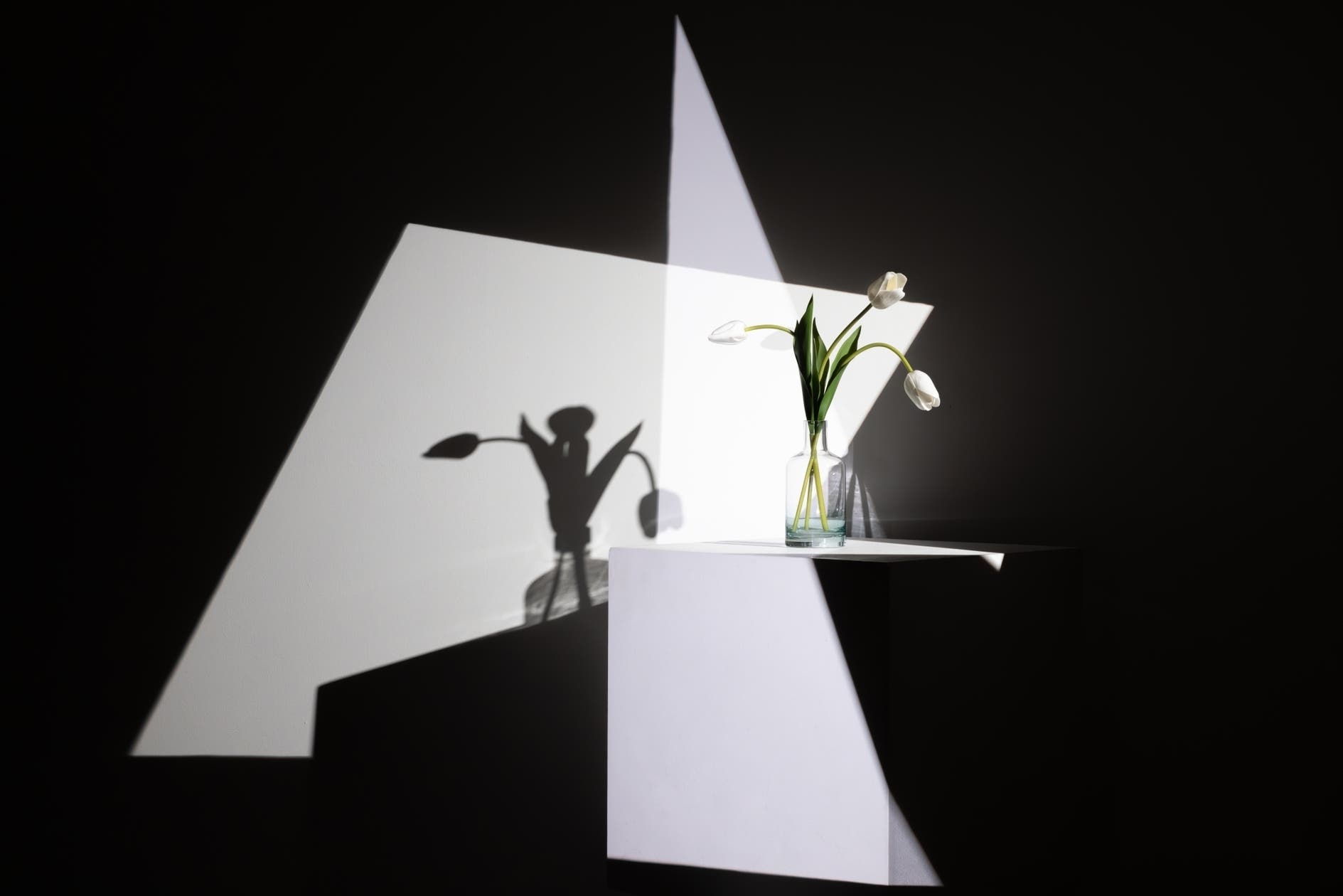 【新宿区】格安！白ホリ撮影スタジオ｜天地R構造｜NANLITEなどLEDライト多数｜人物撮影｜モデル撮影｜コスプレ｜作品撮りの写真14