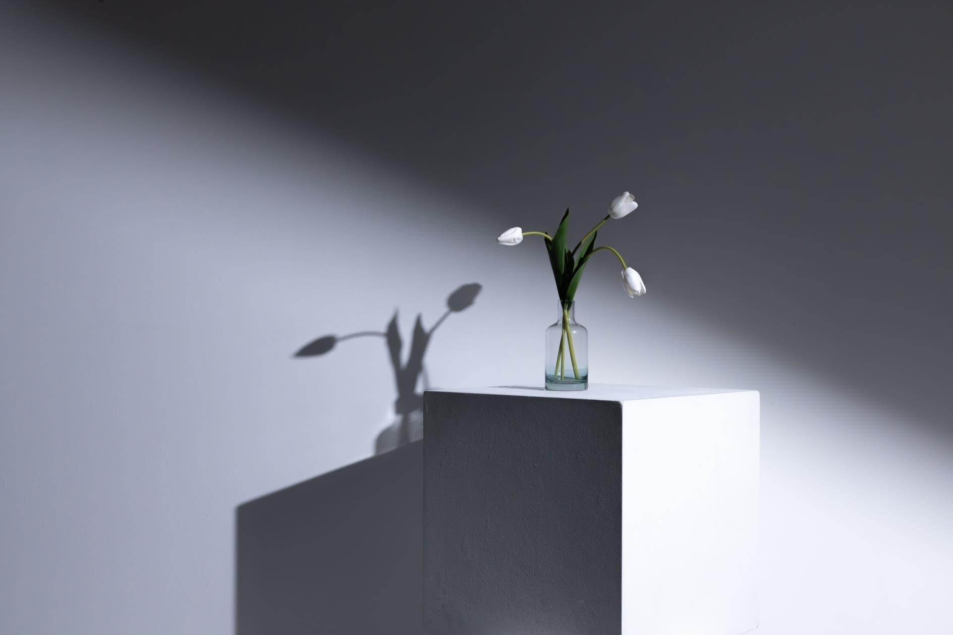 【新宿区】格安！白ホリ撮影スタジオ｜天地R構造｜NANLITEなどLEDライト多数｜人物撮影｜モデル撮影｜コスプレ｜作品撮りの写真13