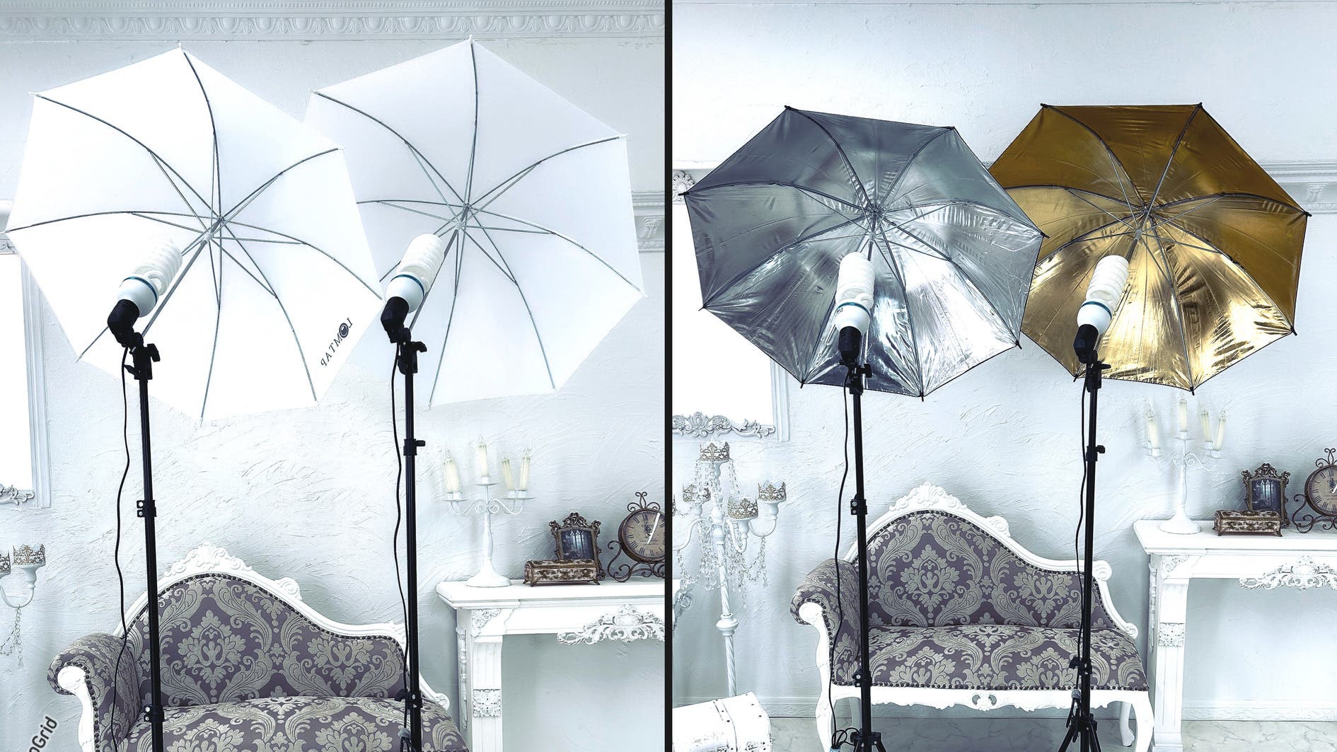 東銀座徒歩1分/白ゴシック/黒ゴシック/フラワーガーデン/撮影スタジオの写真18