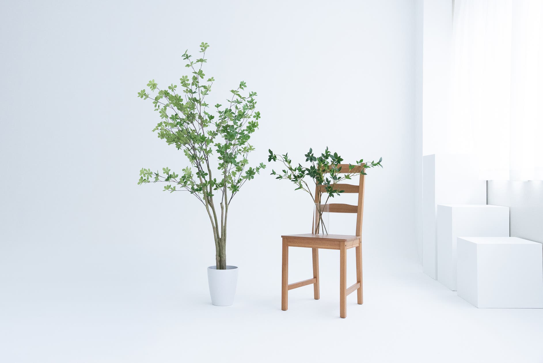 OPENセール【千葉駅3分】白ホリスタジオ｜プロカメラマン監修｜ポートレート｜ブツ撮りの写真20