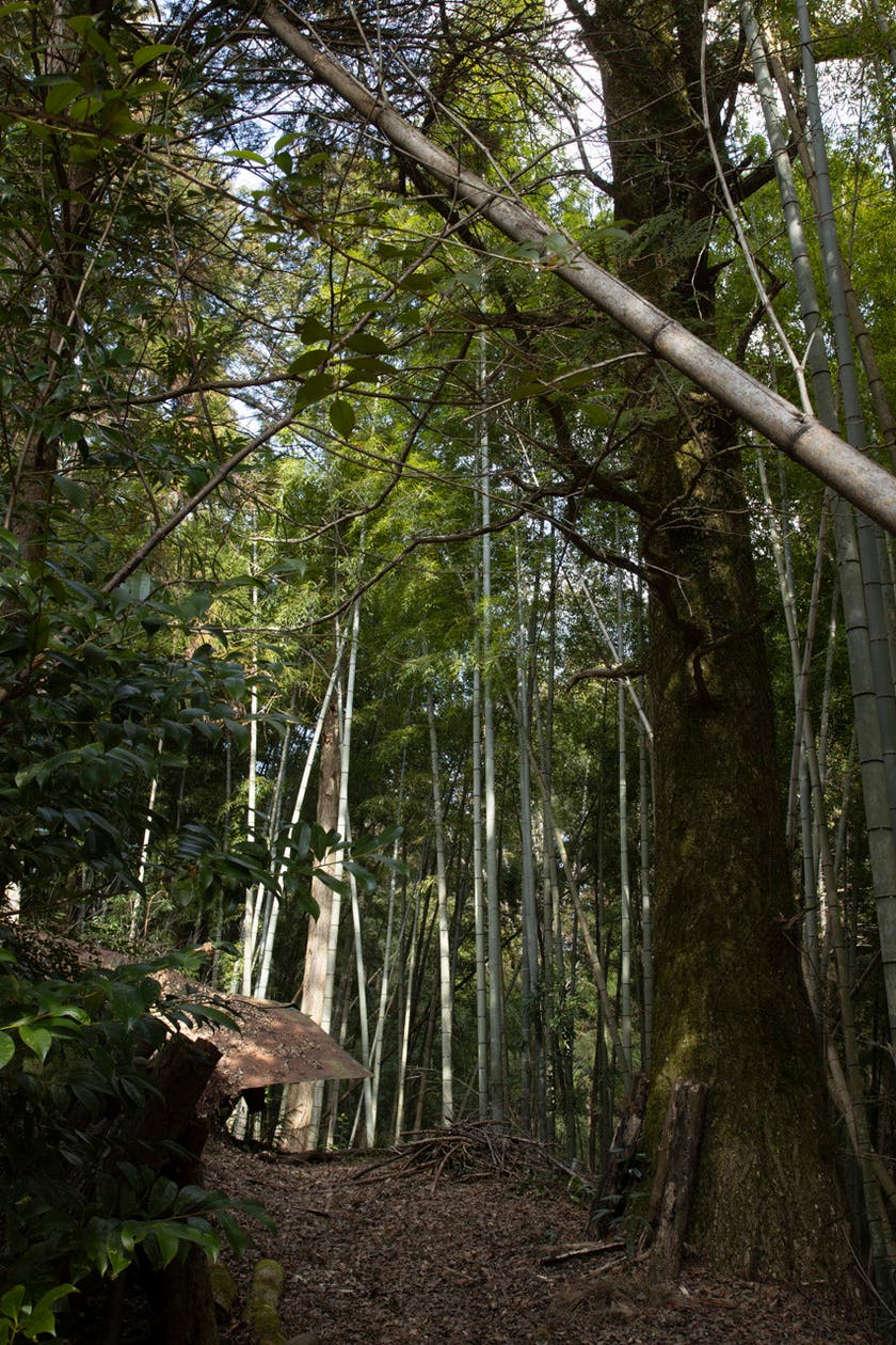 築200年の趣深い古民家で、のんびりゆったりとした1日をの写真7