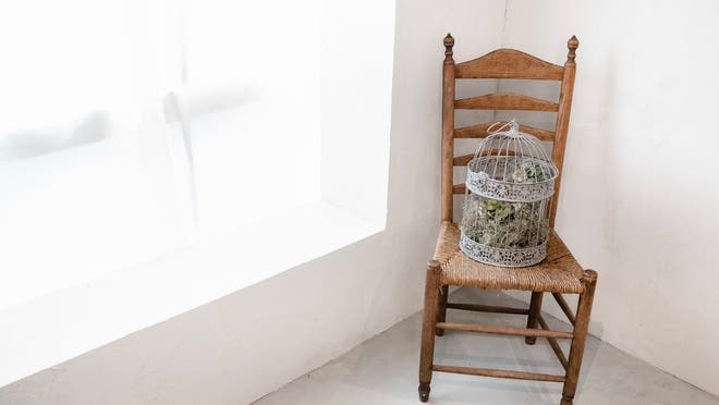 🎉40%OFFキャンペーン🎉【飯田橋4分】二面採光|座れるアーチ壁|白と黒|アンティーク雑貨|漆喰壁|本物のドライフラワーの写真14