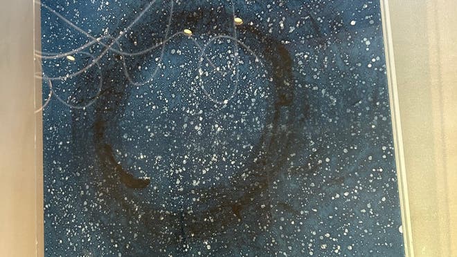 JR芦屋駅から徒歩3分飲食OKの会議室の写真12