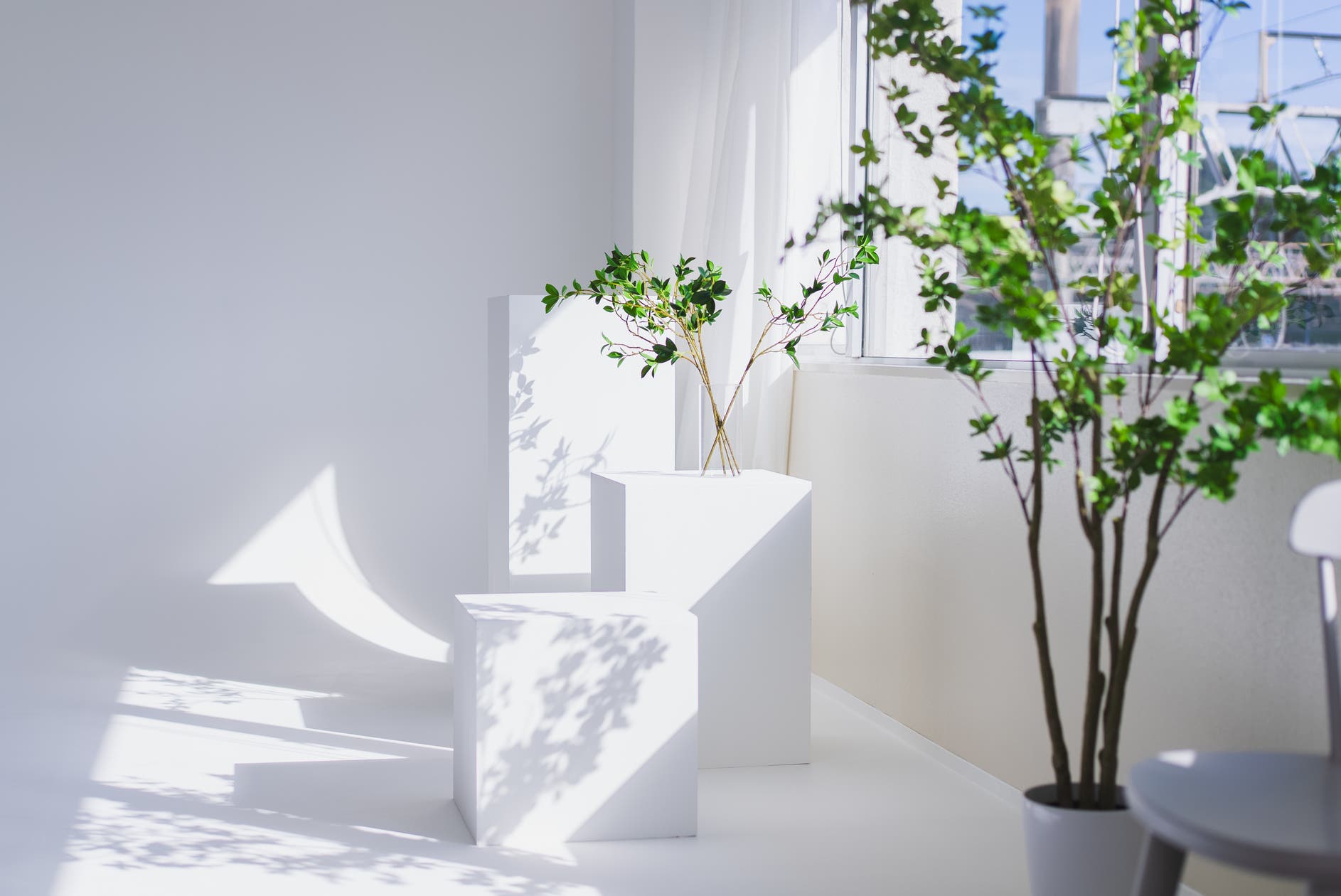 OPENセール【千葉駅3分】白ホリスタジオ｜プロカメラマン監修｜ポートレート｜ブツ撮りの写真7