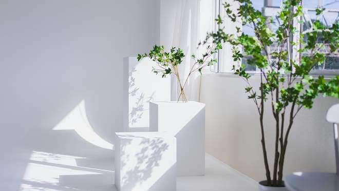 OPENセール【千葉駅3分】白ホリスタジオ|プロカメラマン監修|ポートレート|ブツ撮りの写真7