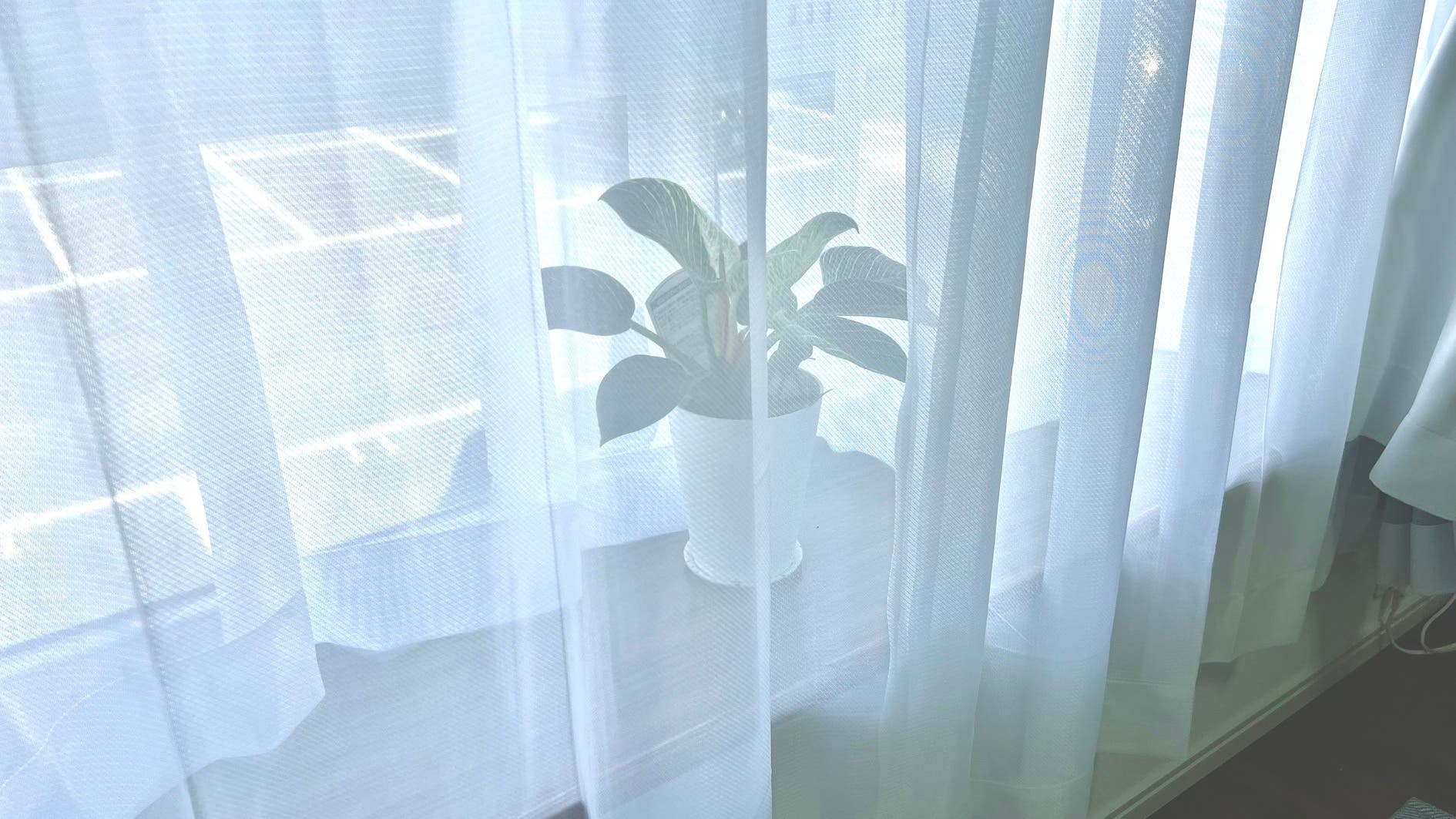 🎊岡大裏ペース202⭕たっぷり11時間定額5500円🙆‍♀️🚙🅿無料/女子会💖映画鑑賞🎞デート/お仕事にの写真12