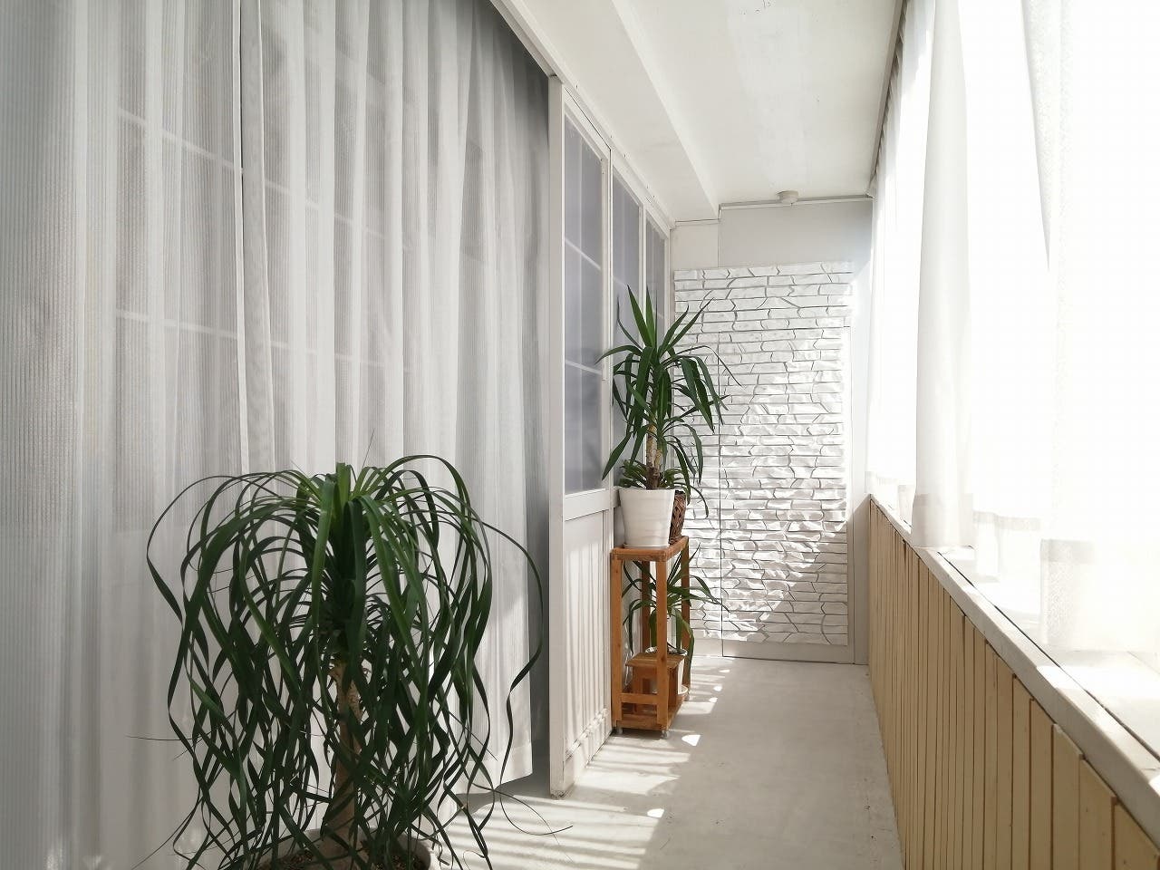 水道橋徒歩1分/自然光【限定格安プランあり】直射光の差し込むサンルーム/様々な背景、壁を撮影可/ビュースタジオの写真2