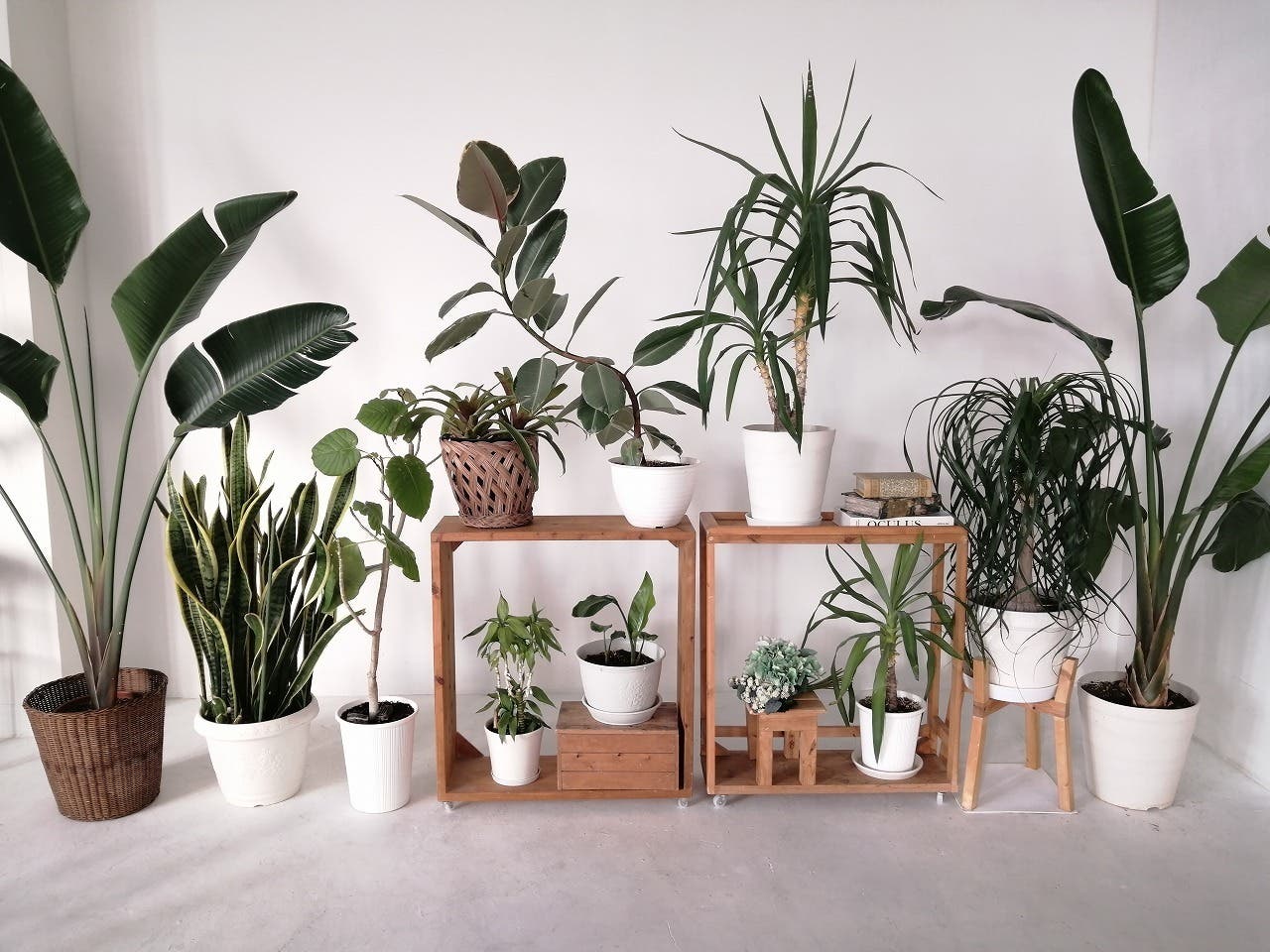 水道橋徒歩1分/自然光【限定格安プランあり】直射光の差し込むサンルーム/様々な背景、壁を撮影可/ビュースタジオの写真14