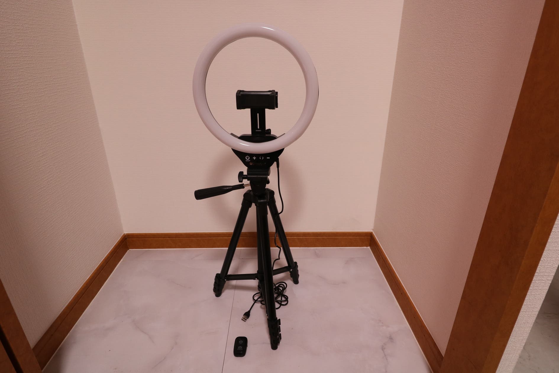 全面リフォーム済み🌟姫系のインテリアが可愛いお部屋🎈YouTube撮影やコスプレに最適♪の写真13