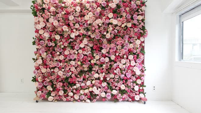 【恵比寿5分】2面採光|白壁+フラワーウォール|撮影機材・背景紙無料【アパレル|ポートレート】の写真2