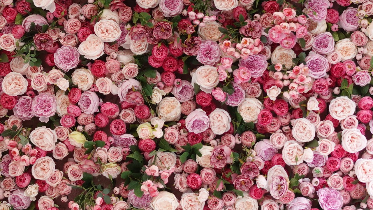 【恵比寿5分】２面採光｜白壁＋フラワーウォール｜撮影機材・背景紙無料【アパレル｜ポートレート】の写真12