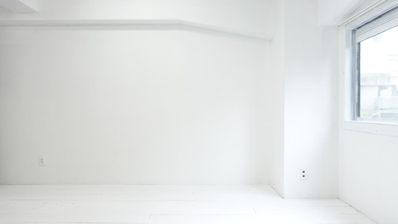 【恵比寿5分】２面採光｜白壁＋フラワーウォール｜撮影機材・背景紙無料【アパレル｜ポートレート】の写真5