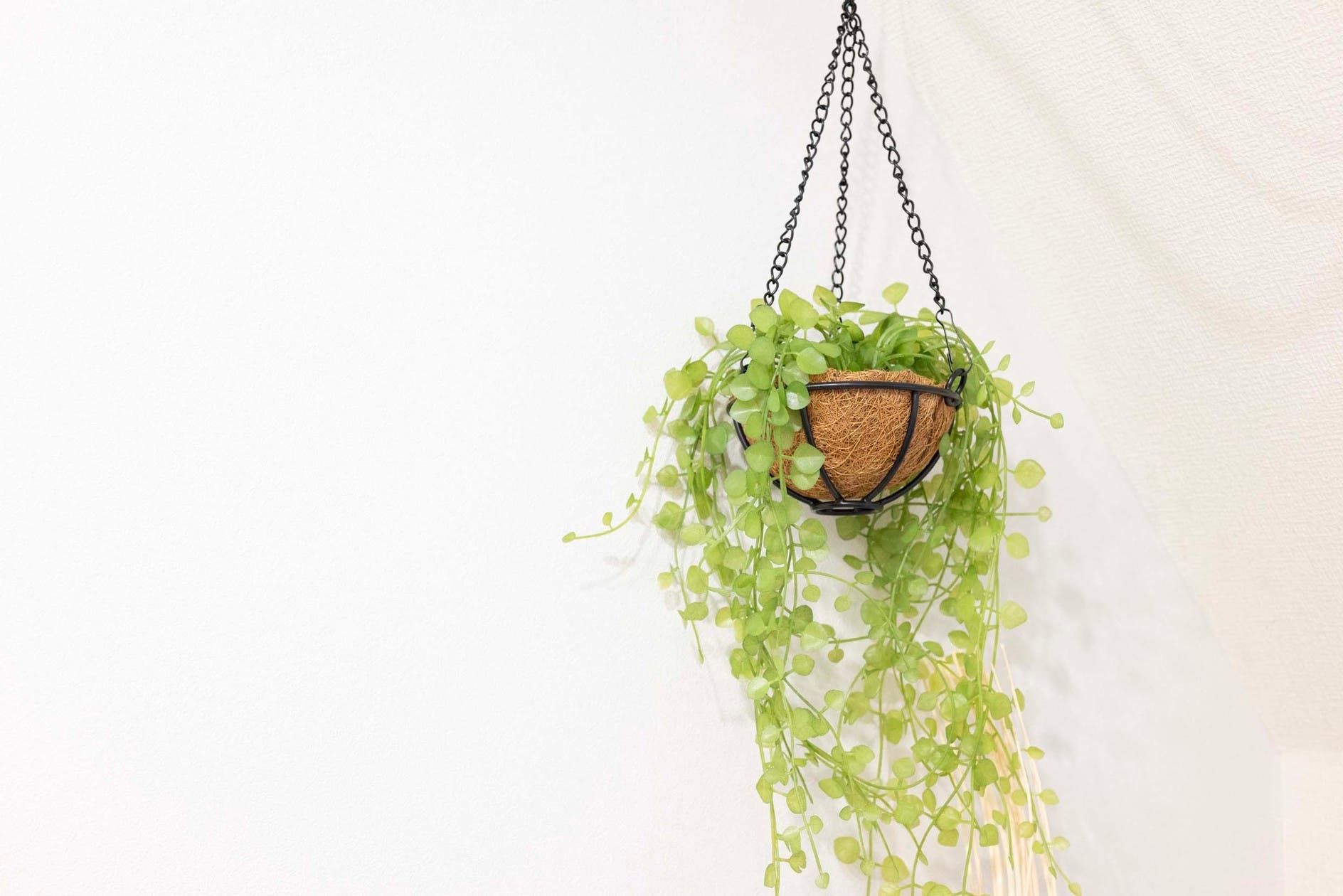 【07💐完全個室型プライベートサロン& 癒し韓国インテリア✨】💆‍♀️リラク・整体・ネイルに最適💅 可愛い♡･*自然光◎の写真21