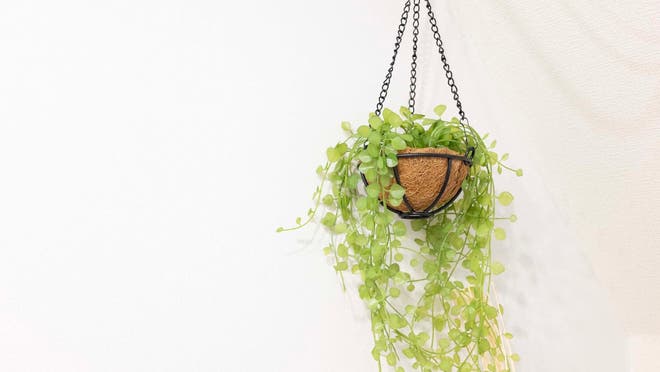 【07💐完全個室型プライベートサロン& 癒し韓国インテリア✨】💆♀️リラク・整体・ネイルに最適💅 可愛い♡・*自然光◎の写真21