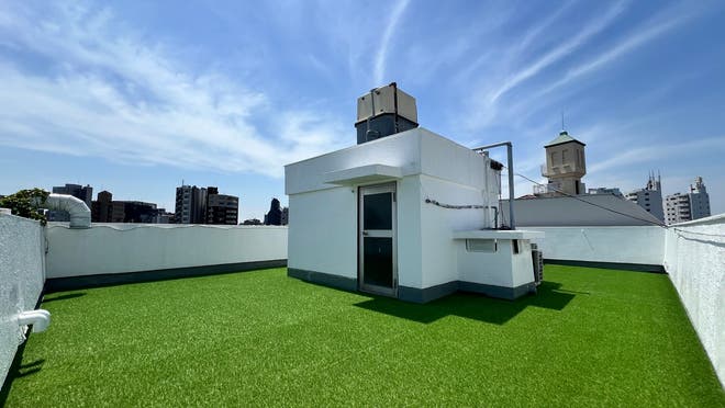 ☀️NEW OPEN☀️|ポートレート|各種撮影|開放的な空間|ドッグランの写真1