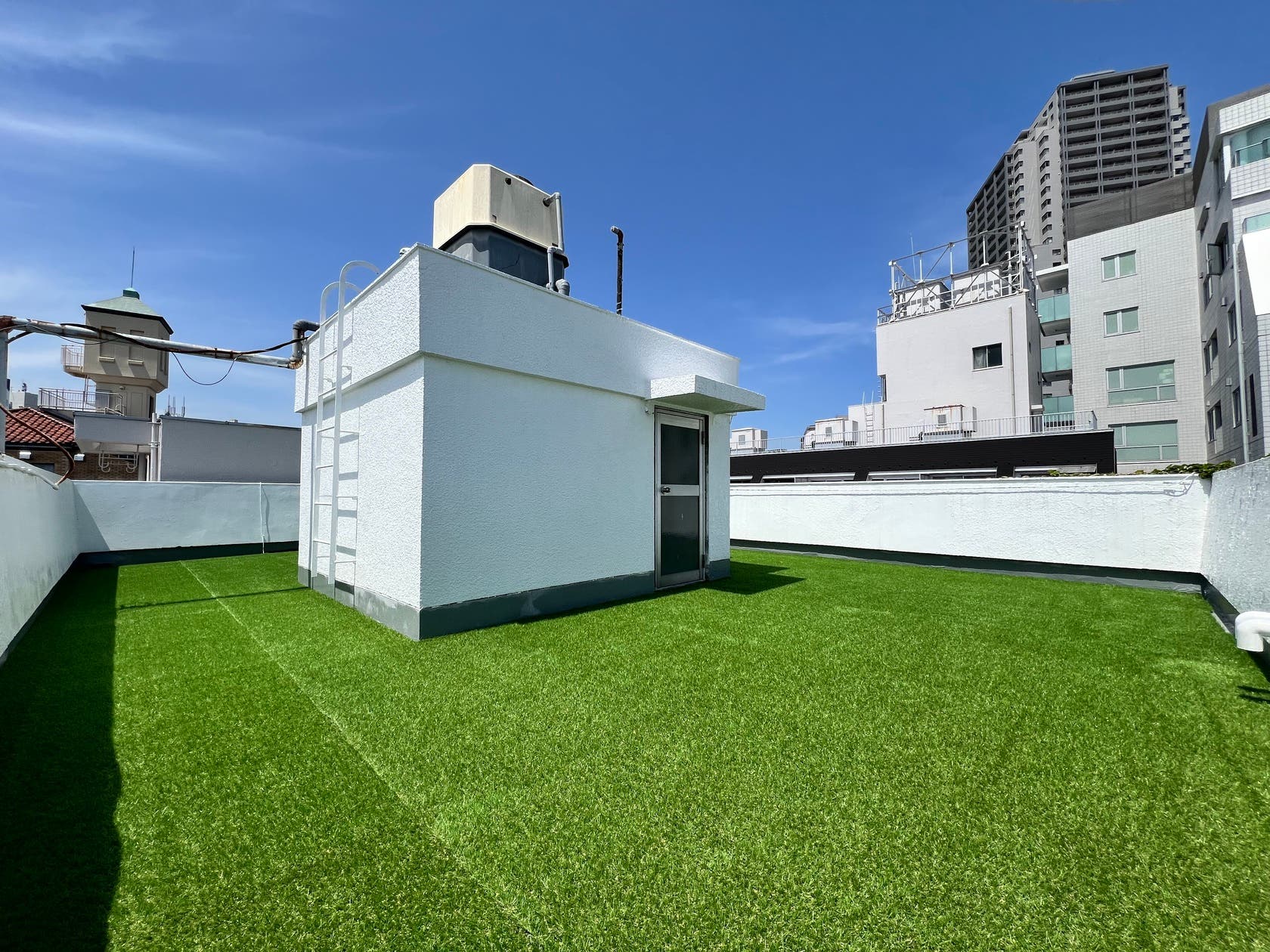 ☀️NEW OPEN☀️｜ポートレート｜各種撮影｜開放的な空間｜ドッグランの写真9