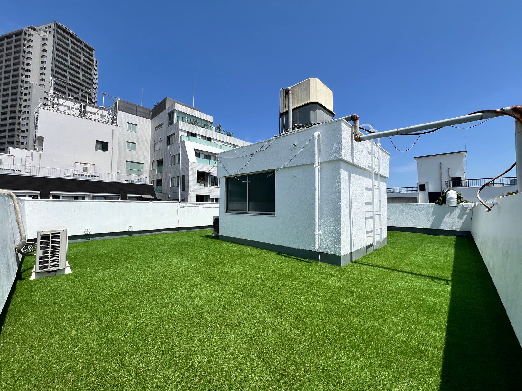 ☀️NEW OPEN☀️｜ポートレート｜各種撮影｜開放的な空間｜ドッグランの写真5