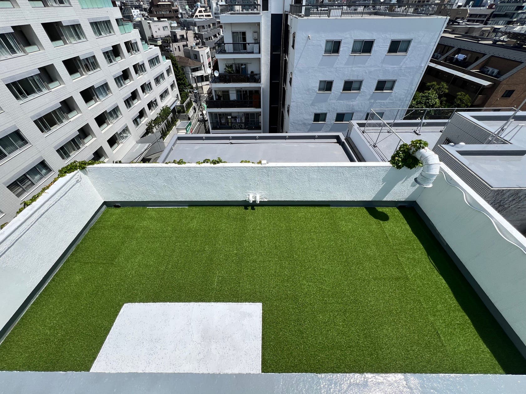 ☀️NEW OPEN☀️｜ポートレート｜各種撮影｜開放的な空間｜ドッグランの写真10