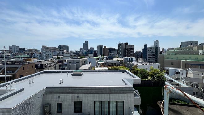 ☀️NEW OPEN☀️|ポートレート|各種撮影|開放的な空間|ドッグランの写真2