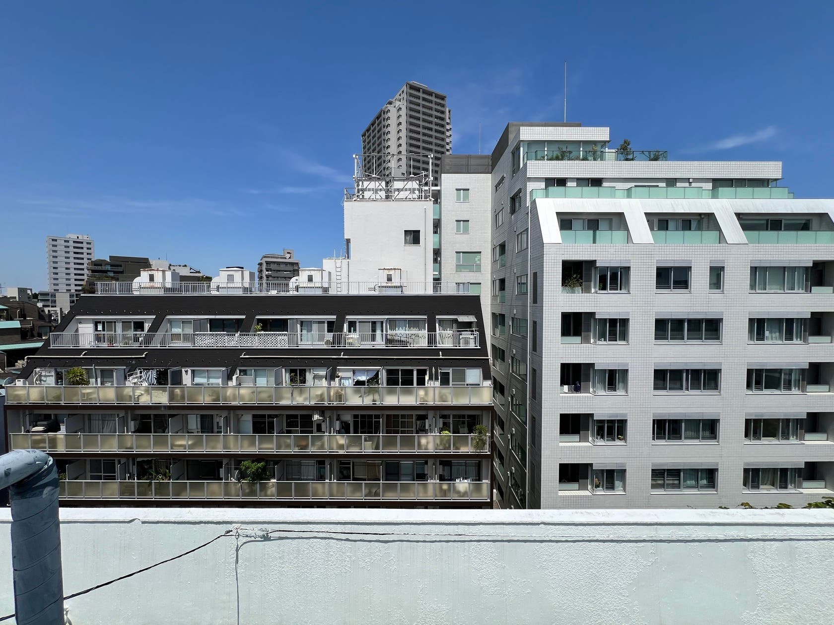 ☀️NEW OPEN☀️｜ポートレート｜各種撮影｜開放的な空間｜ドッグランの写真13