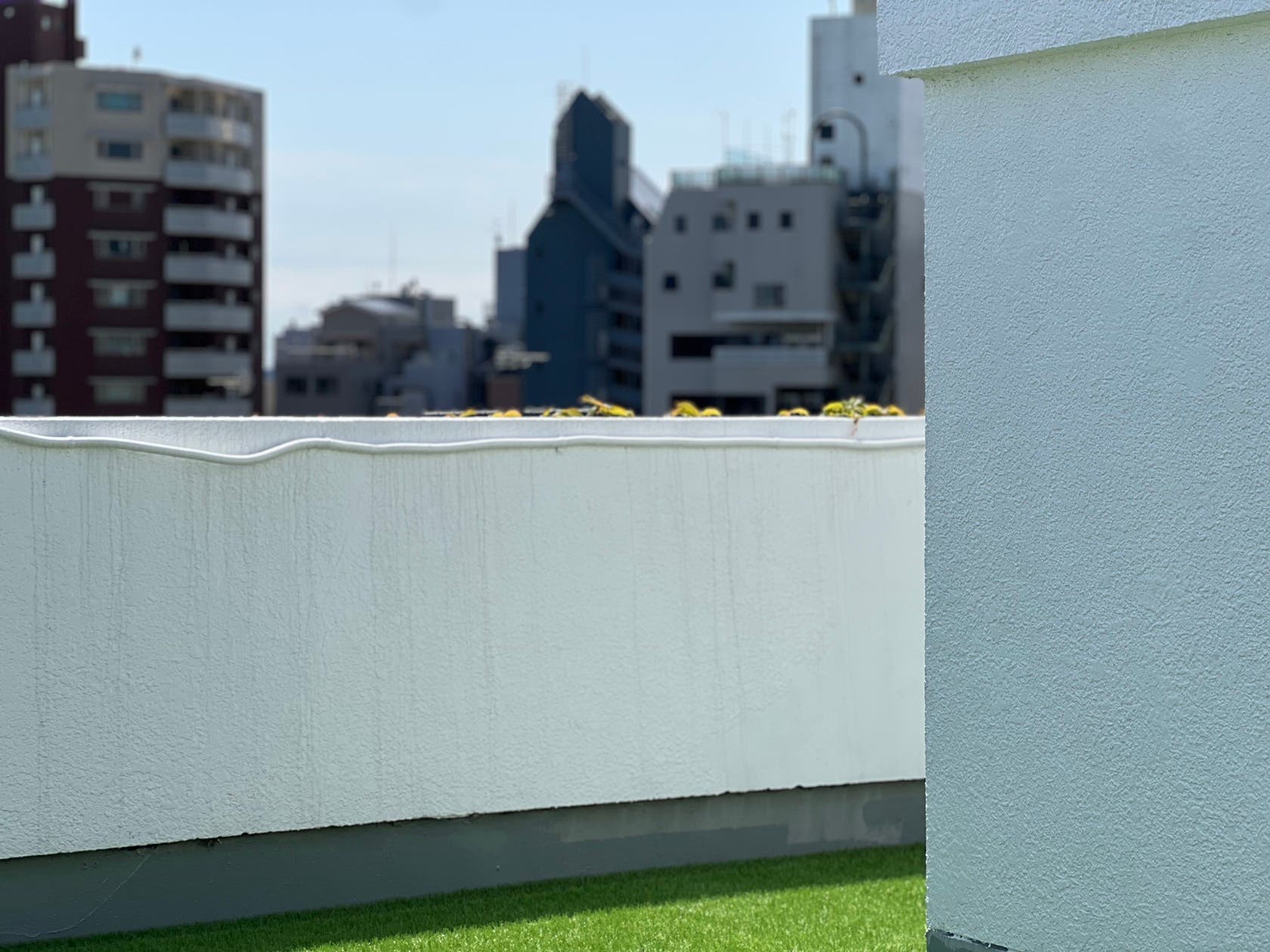 ☀️NEW OPEN☀️｜ポートレート｜各種撮影｜開放的な空間｜ドッグランの写真16