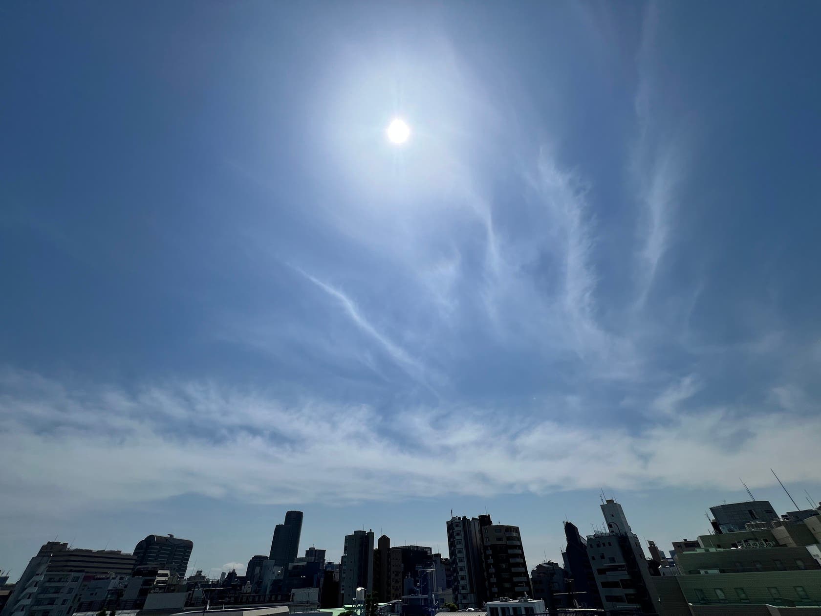 ☀️NEW OPEN☀️｜ポートレート｜各種撮影｜開放的な空間｜ドッグランの写真19