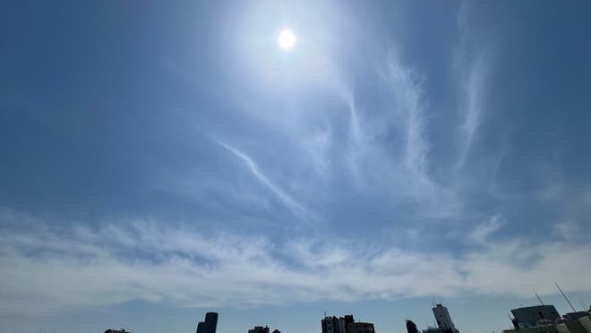 ☀️NEW OPEN☀️|ポートレート|各種撮影|開放的な空間|ドッグランの写真19