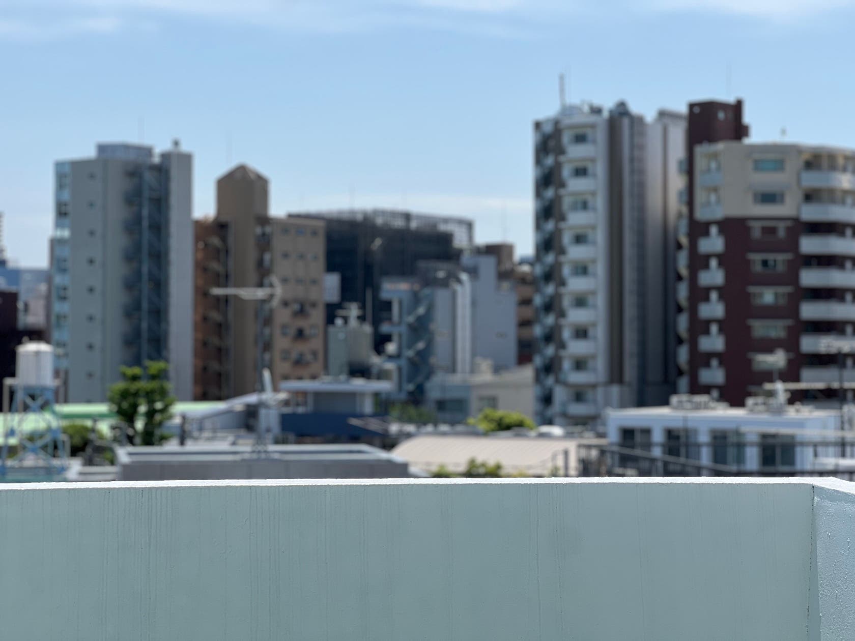 ☀️NEW OPEN☀️｜ポートレート｜各種撮影｜開放的な空間｜ドッグランの写真20