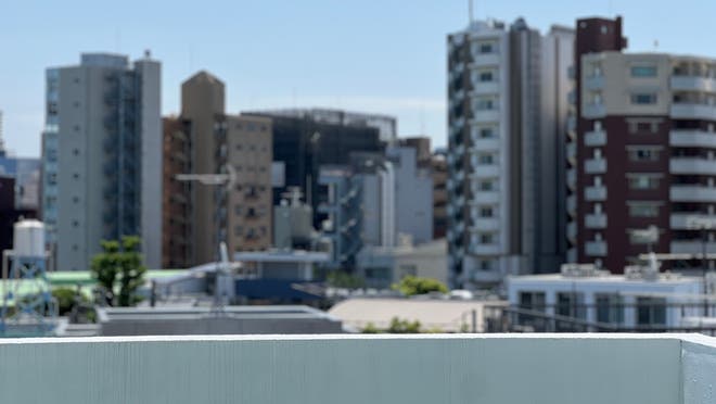 ☀️NEW OPEN☀️|ポートレート|各種撮影|開放的な空間|ドッグランの写真20