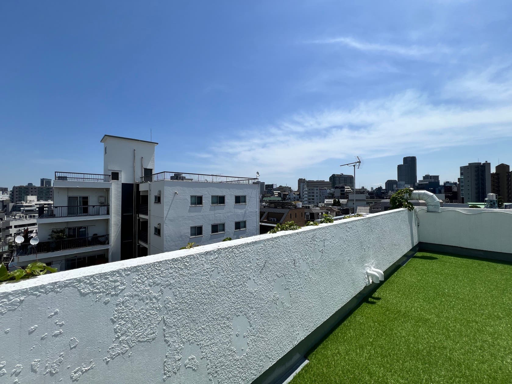 ☀️NEW OPEN☀️｜ポートレート｜各種撮影｜開放的な空間｜ドッグランの写真23