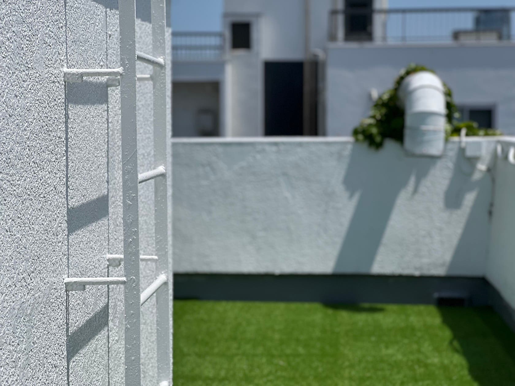 ☀️NEW OPEN☀️｜ポートレート｜各種撮影｜開放的な空間｜ドッグランの写真25