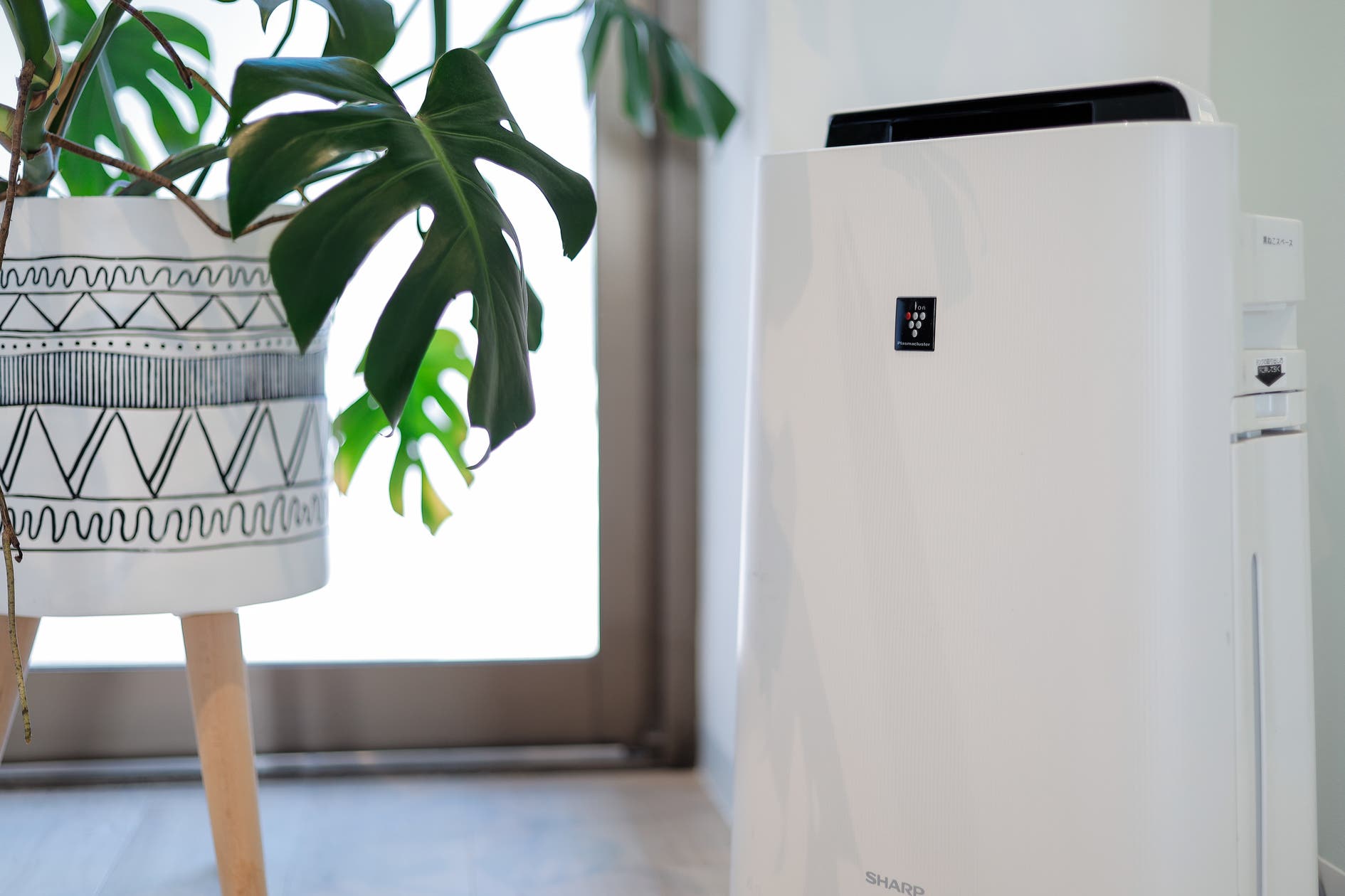 完全プレイベートのダンス・ヨガスタジオの写真6