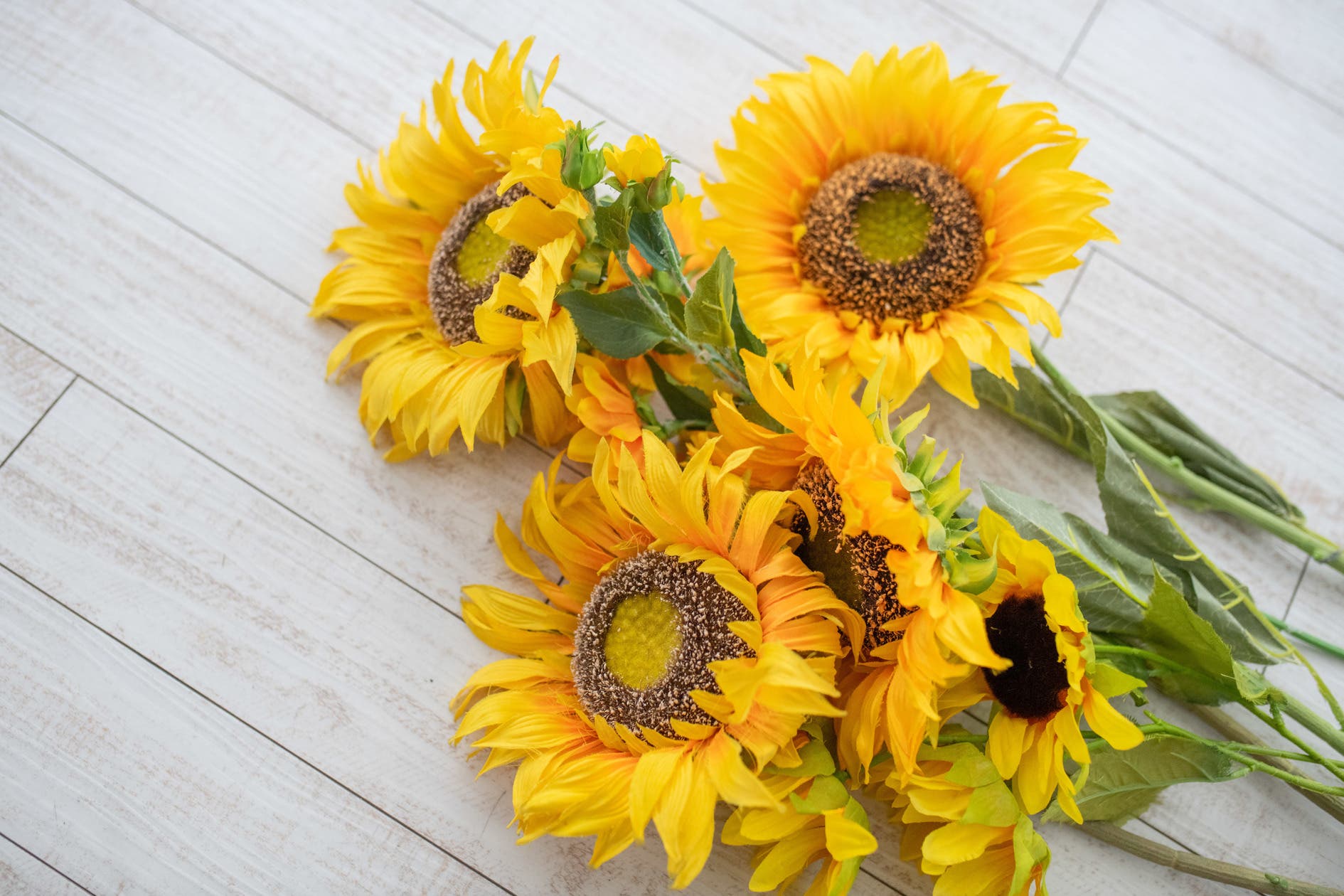 アンティーク｜機材無料｜漆喰壁｜インテリアが自慢｜1～3F、RFの豊富な撮影シーン｜屋上庭園撮影｜二駅利用可駅徒歩5分の写真22