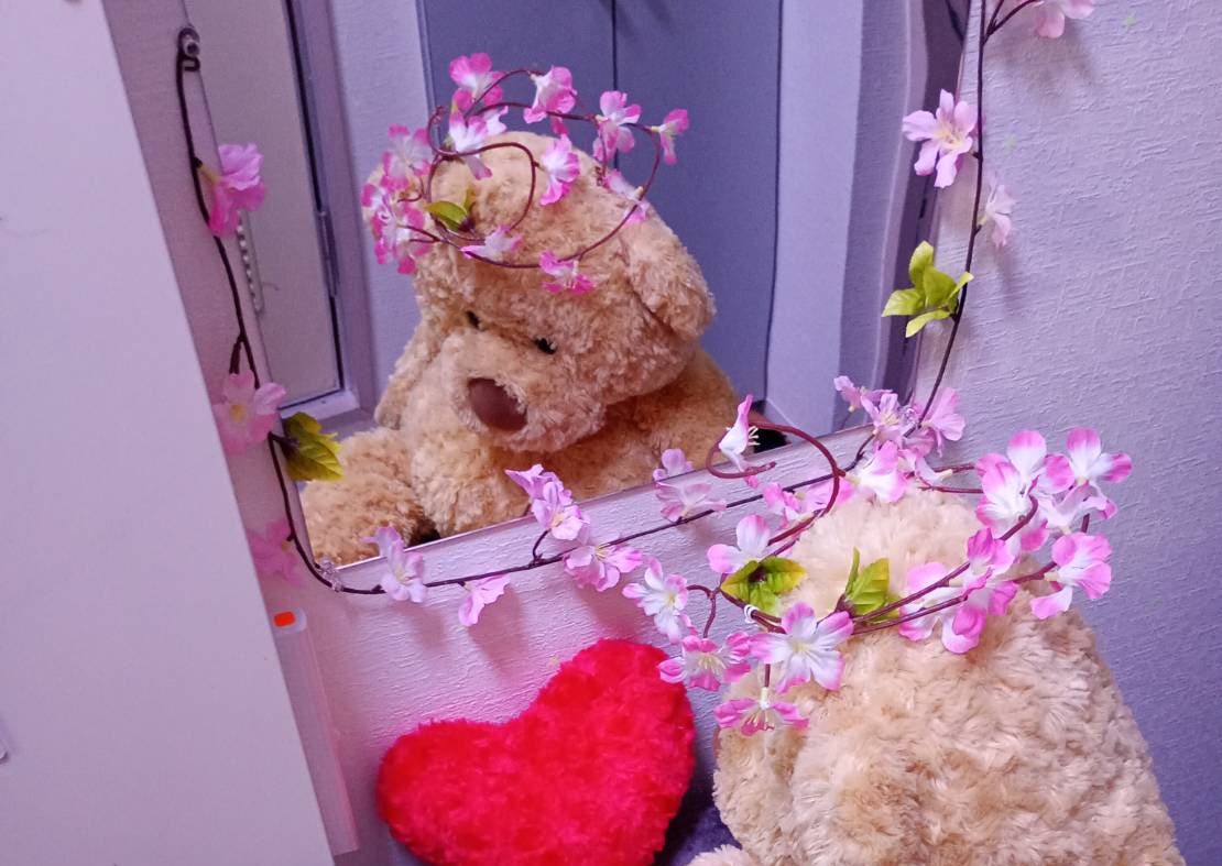 🎅クリスマス装飾中🐶青い大人スペース💯㌅映画鑑賞🎥料理👳パーティ🎶女子会✨推し活🎊お祝い🧹の写真16