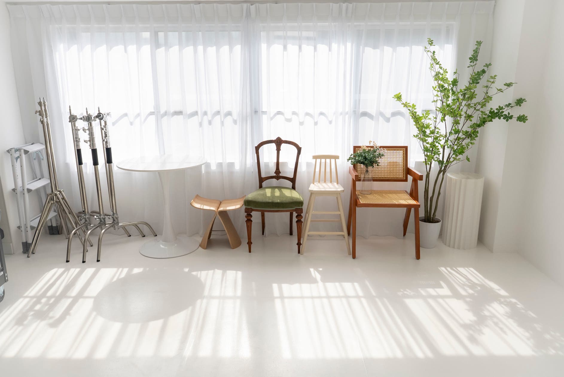 映える、自然光白ホリ。｜撮影機材無料貸出｜メイクスペース完備｜プロカメラマン監修｜新宿御苑前2分｜ポートレートの写真4