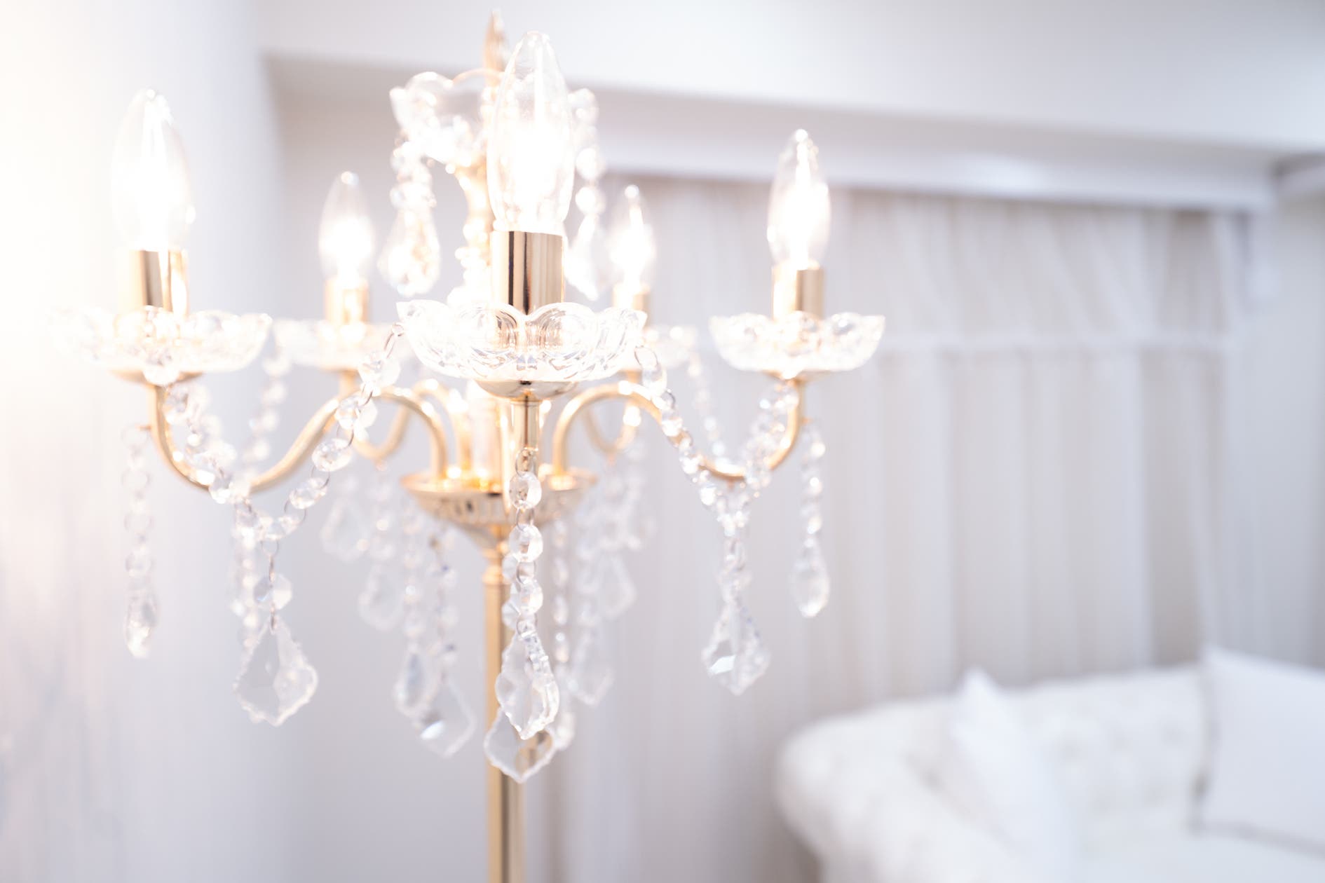 【西新宿】白背景ならココ！高級感溢れるエレガントな空間！西新宿駅、徒歩5秒で圧倒的「美しい」撮影！の写真5